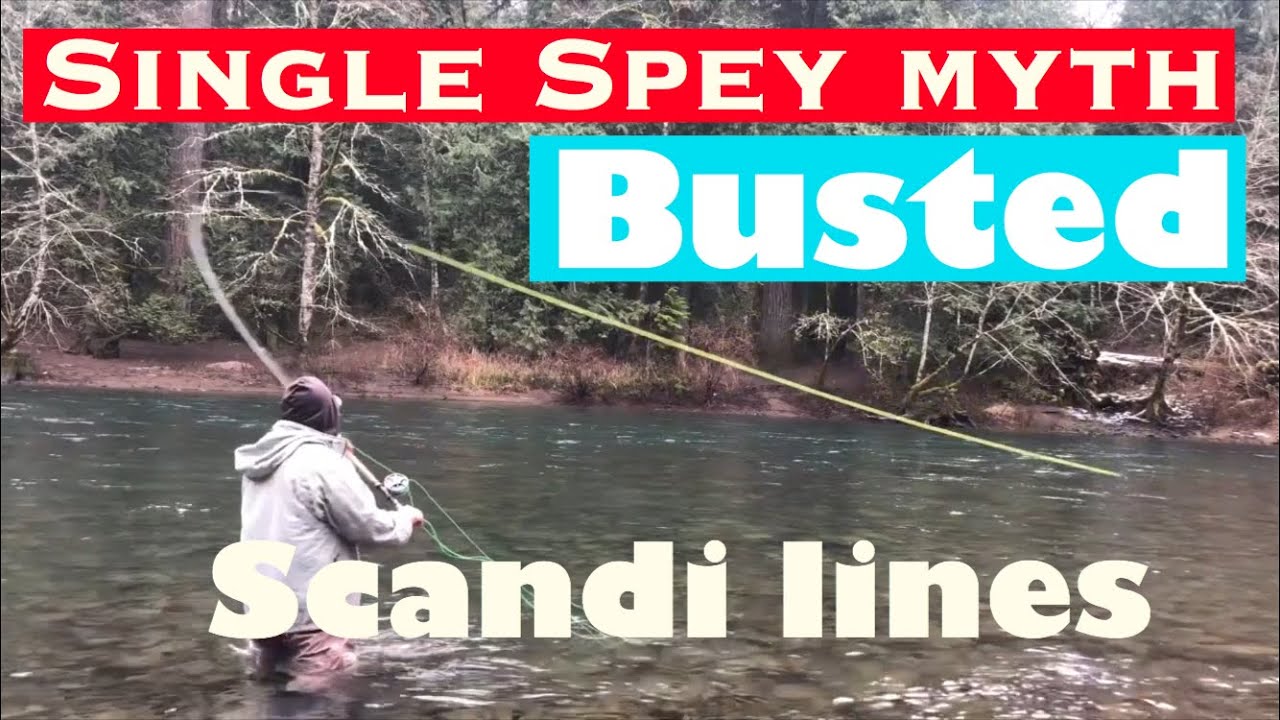 Spey casting Myth Busted: Scandi lines - YouTube