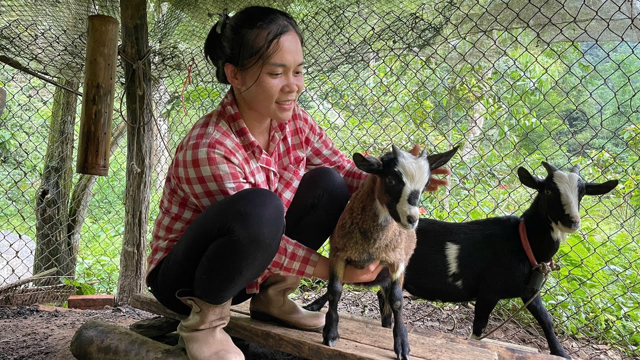 The real life of a 20 year old girl who built a farm alone - YouTube