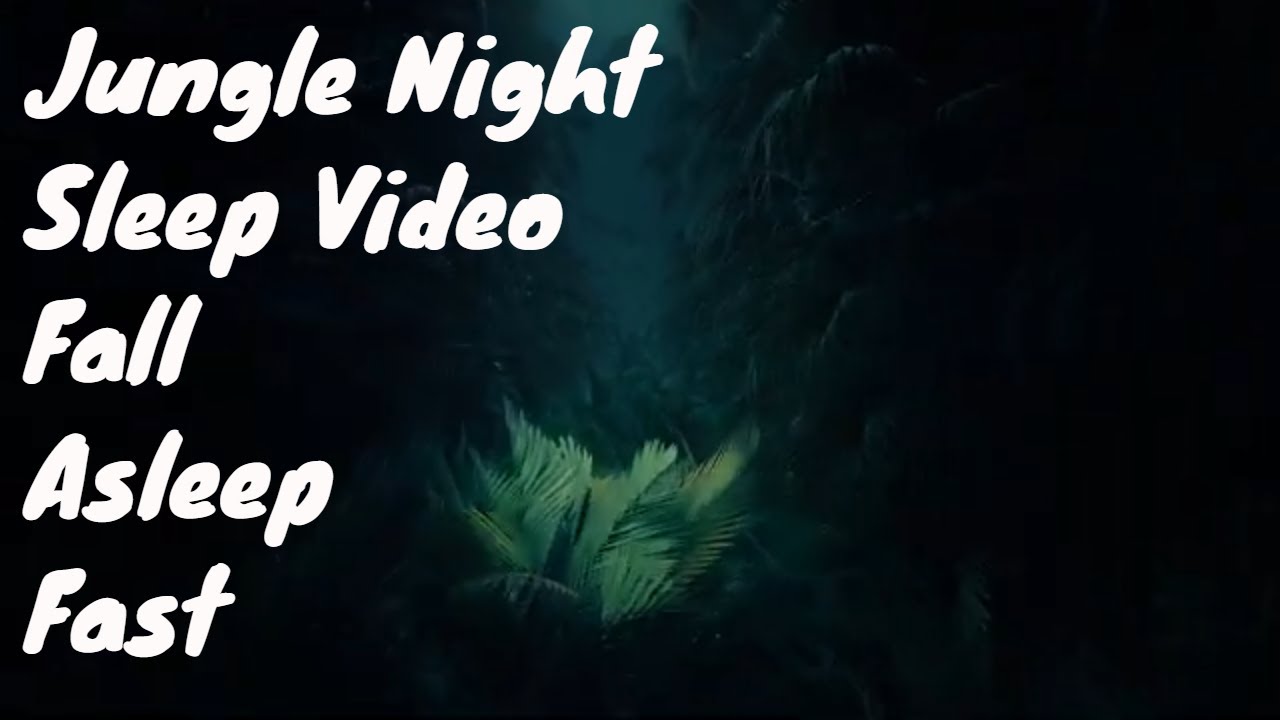 8 HOUR SLEEP VIDEO Night in the Jungle | FALL ASLEEP FAST AND STAY ...