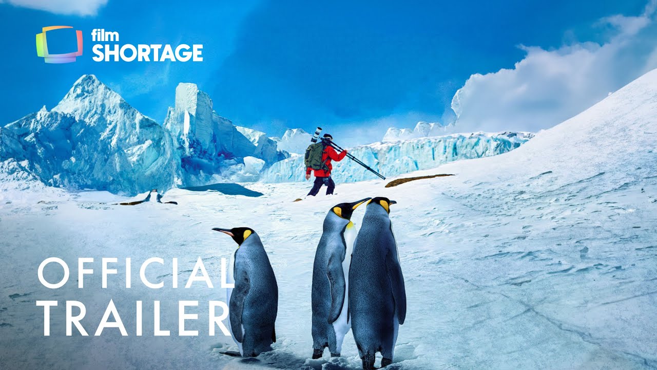 The Perfect Shot: Antarctica | Short Film | Official Trailer - YouTube