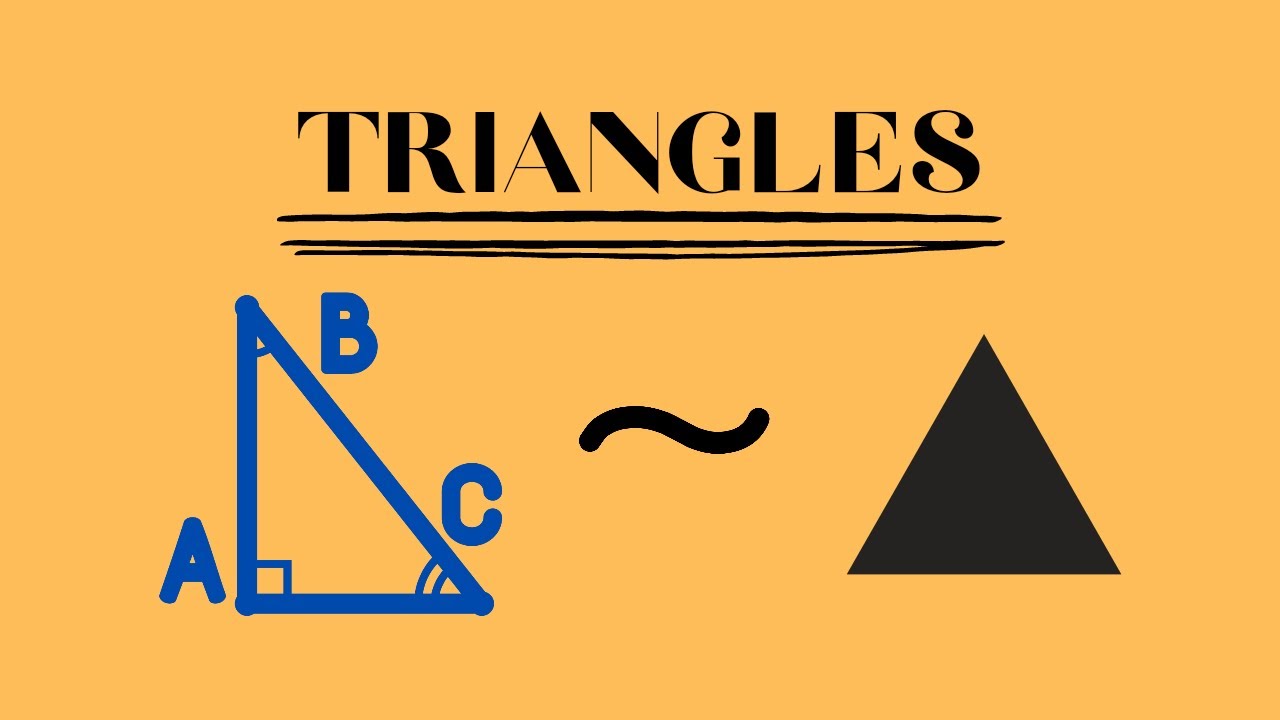 Std X maths/Triangles/Riders, part 2/cbse+ncert/(Konkani) - YouTube