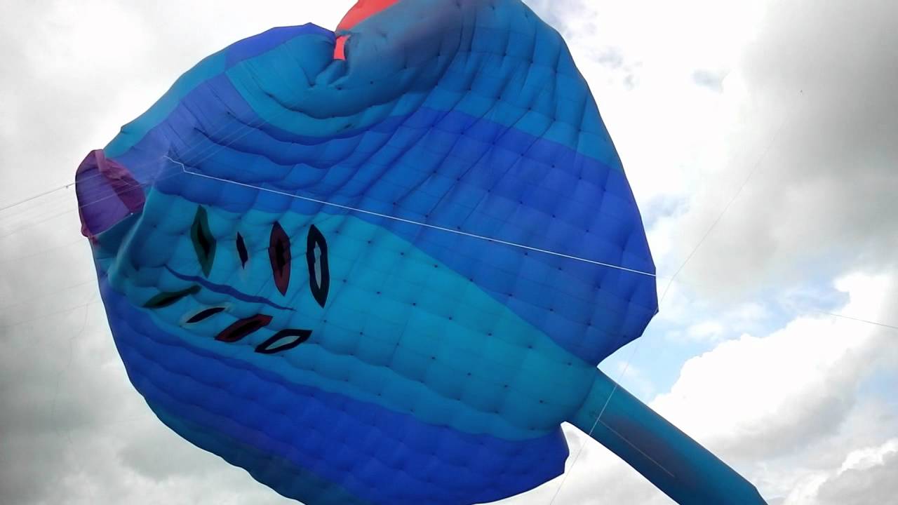 Bristol kite festival - Mega ray kite 2011. - YouTube