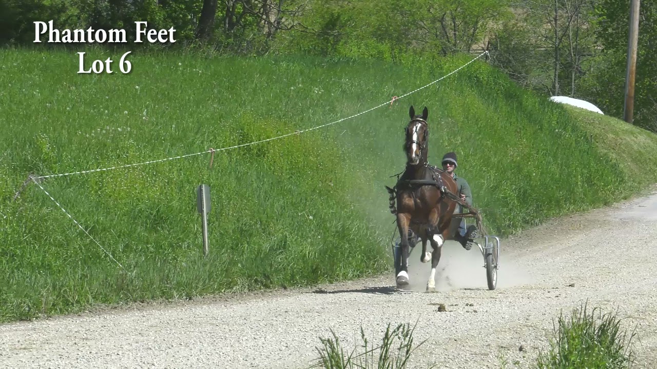 Phantom Feet - YouTube