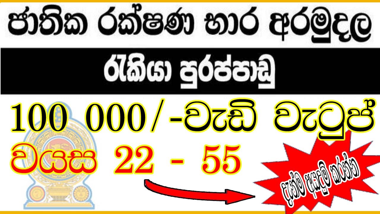 🇱🇰Risk Manager & Insurance Officer Job Vacancies | Apply Now! Sinhala ...