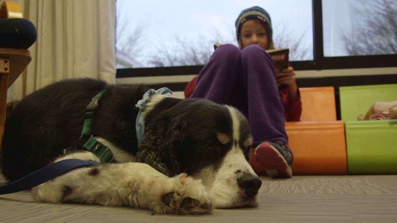 Kids Read to Archie the Dog [SIV518] - YouTube