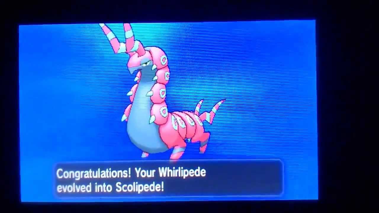 Shiny Venipede evolutions! Pokemon X/Y First on youtube! - YouTube