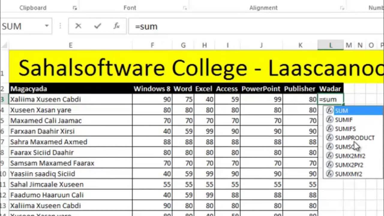 Lesson 20 Functions - Microsoft Excel 2013 - Sahalsoftware - Af soomaali - YouTube