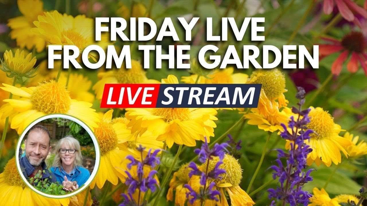 Friday Garden Live - What's Up? #live #gardening #friday - YouTube