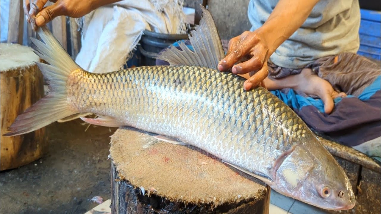 Big Mrigal Fish Cutting Skills Live In Bangladesh Fish Market - YouTube