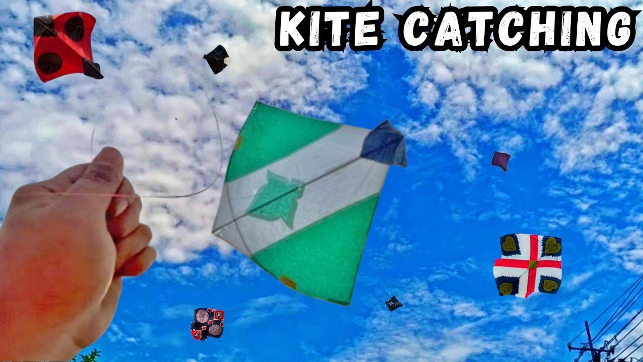Kite Looting From Terrace | Kite Catching | Kite - YouTube