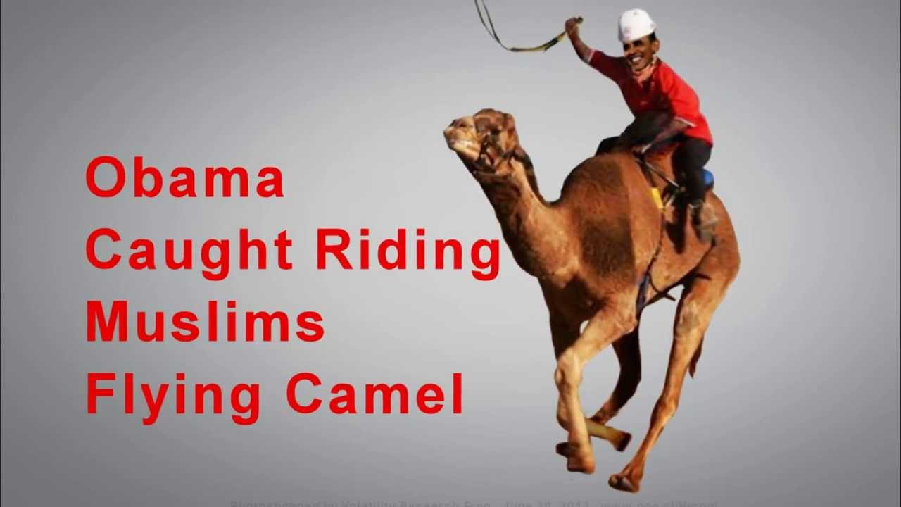 BREAKING NEWS Obama Caught Riding Flying Camel #107 - YouTube