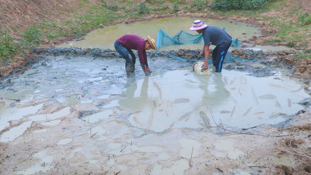 Finding Fishing In Dry season - Two Men Catch A Lot Of Fish In Wells ...
