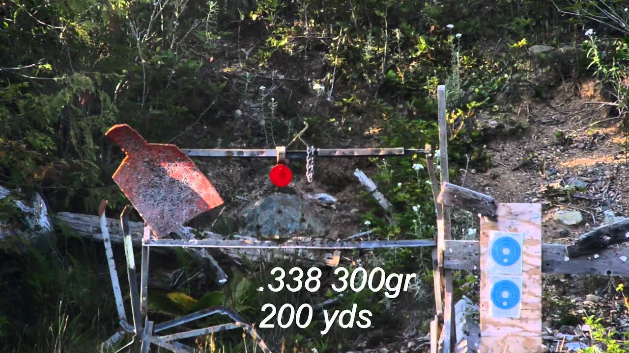 .223 vs .338 - YouTube