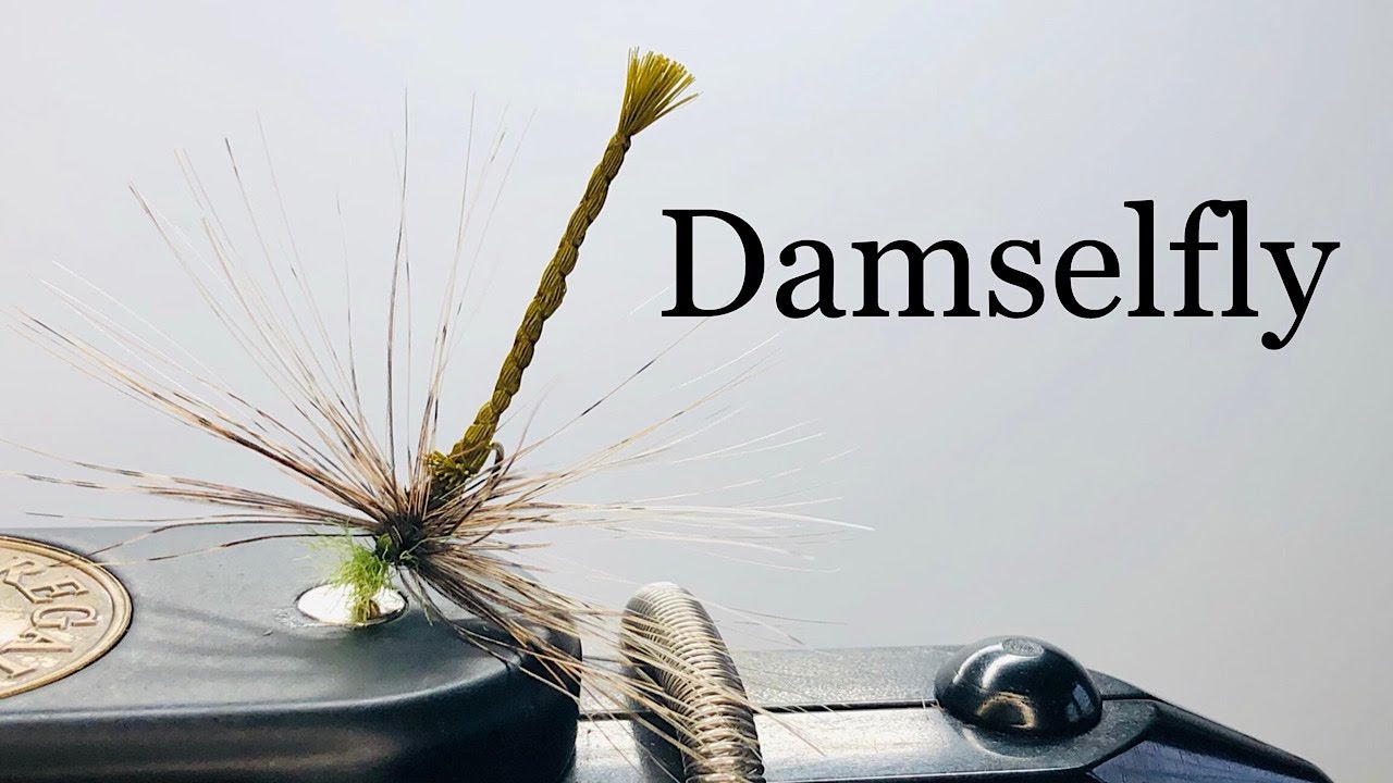 Damselfly Fly Tying Pattern. Tying a Buggy Damsel Dry Fly for Fly ...