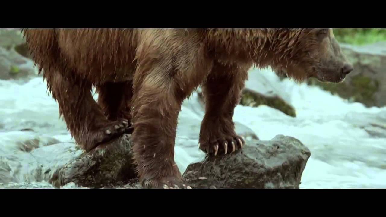 Land of the Bears / Terre des ours (3D) (2014) - Official Trailer - YouTube