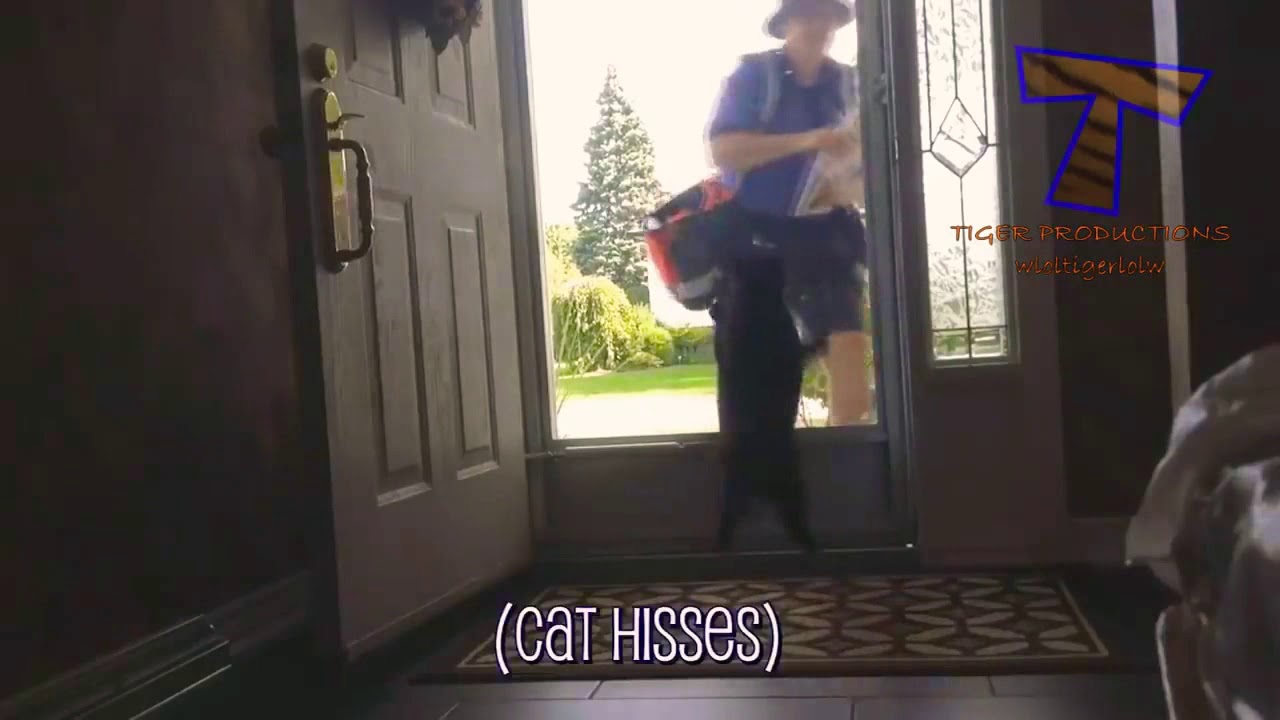 It's TIME for SUPER LAUGH! - Best FUNNY! - YouTube