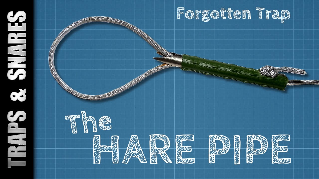 The Hare Pipe - Traps and Snares - YouTube