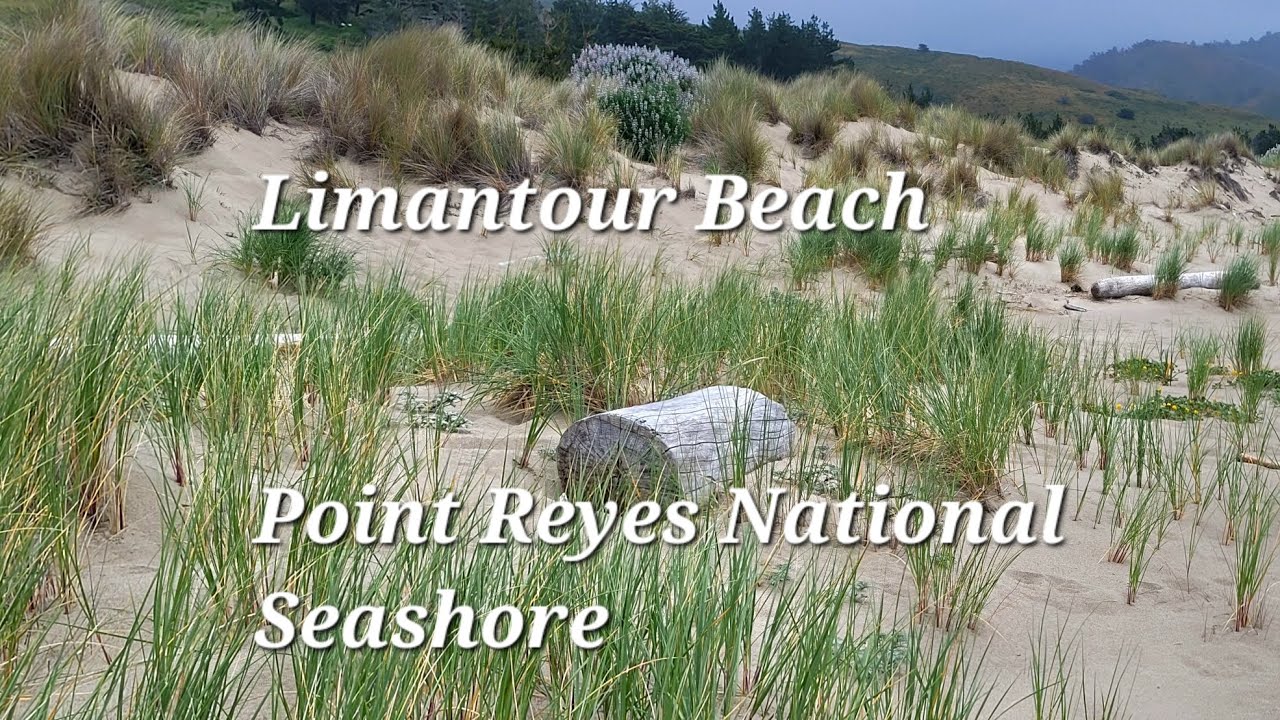 Beach Day ~ Limantour Beach ⛱️ Point Reyes National Seashore - YouTube