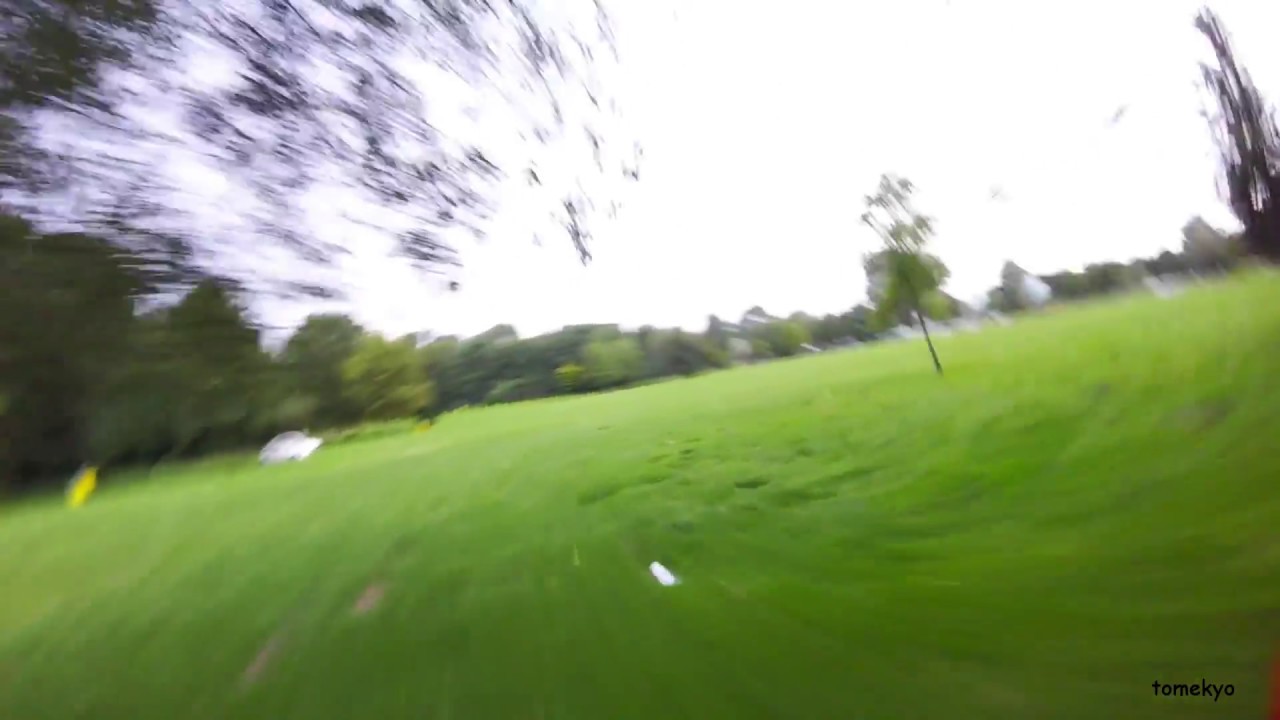 chasing trees - YouTube