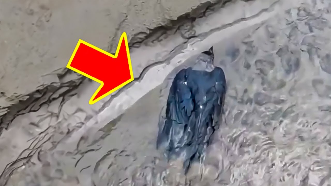 Saving a dying crow by the river, the girl brought it back to raise ...