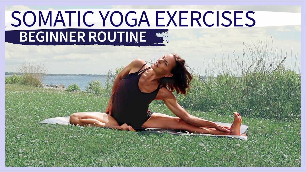 Seated Full Body Somatic Yoga Exercises for Beginners - 8 minutes - YouTube