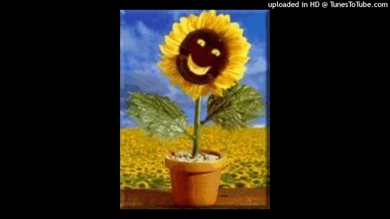 Gemmy Sunny the Singing Sunflower Audio Rip (1997 KB Toys Release ...