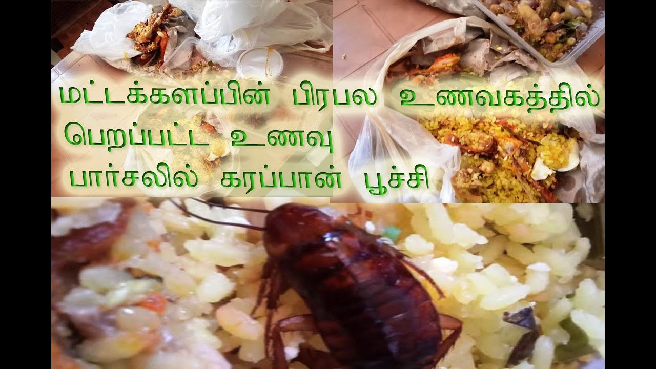 COCKROACH FOOD BATTICALOA TOWN 01 09 2022 - YouTube