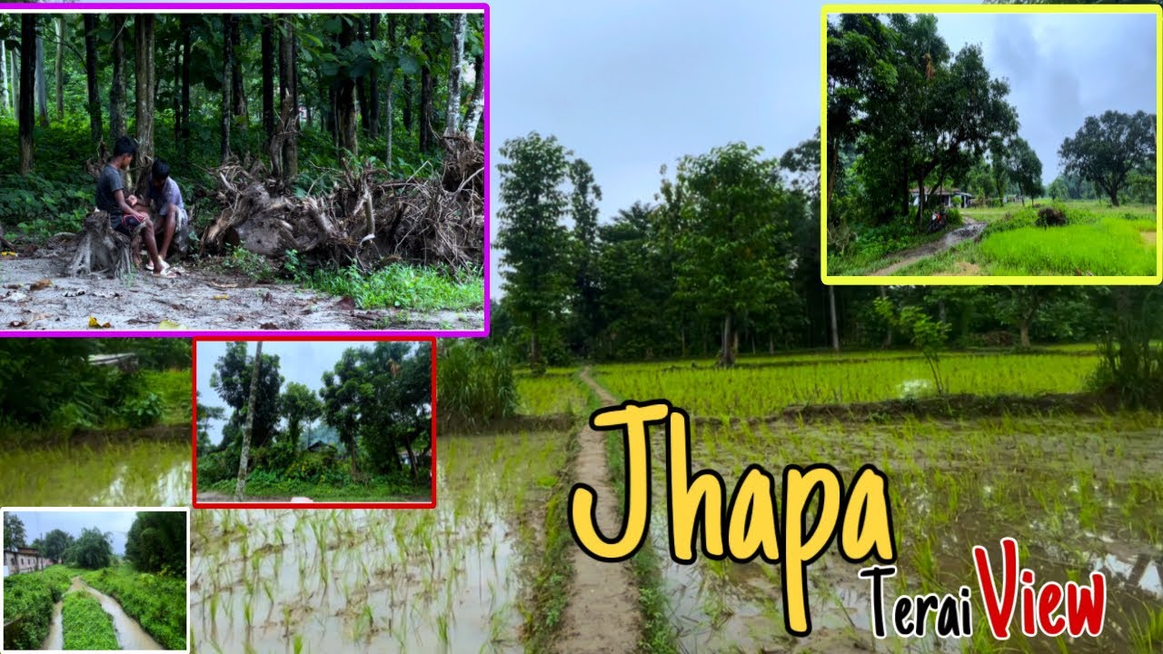Jhapa ️ || village view ️ || jhapa #guffadivlogofficial - YouTube