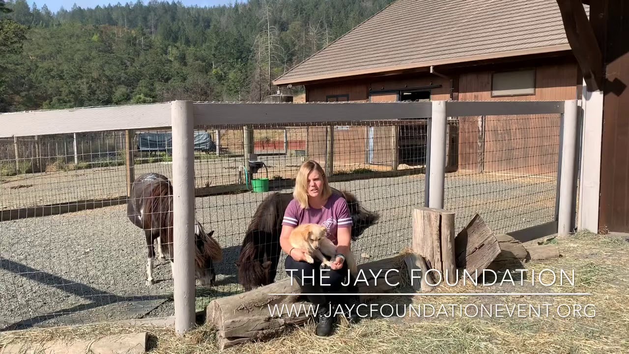 The JAYC Foundation - YouTube