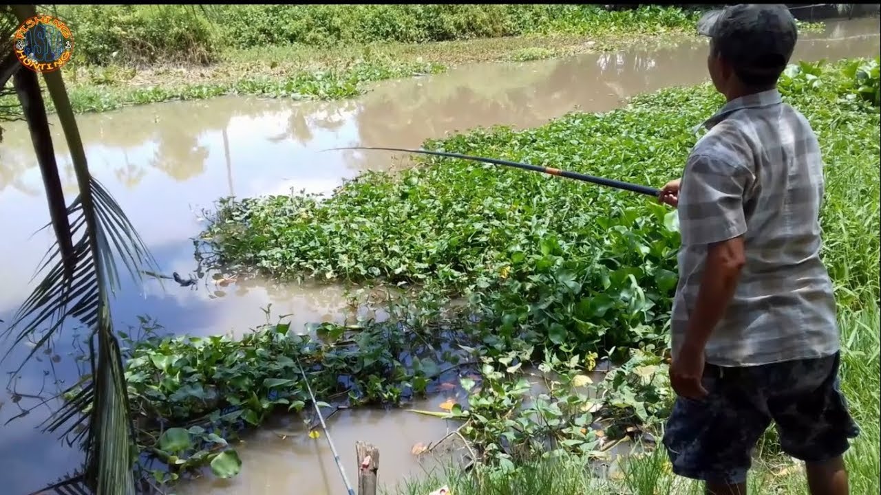 Fishing On The River Basa Fish In Vietnam Fishing & Hunting ASIA. - YouTube