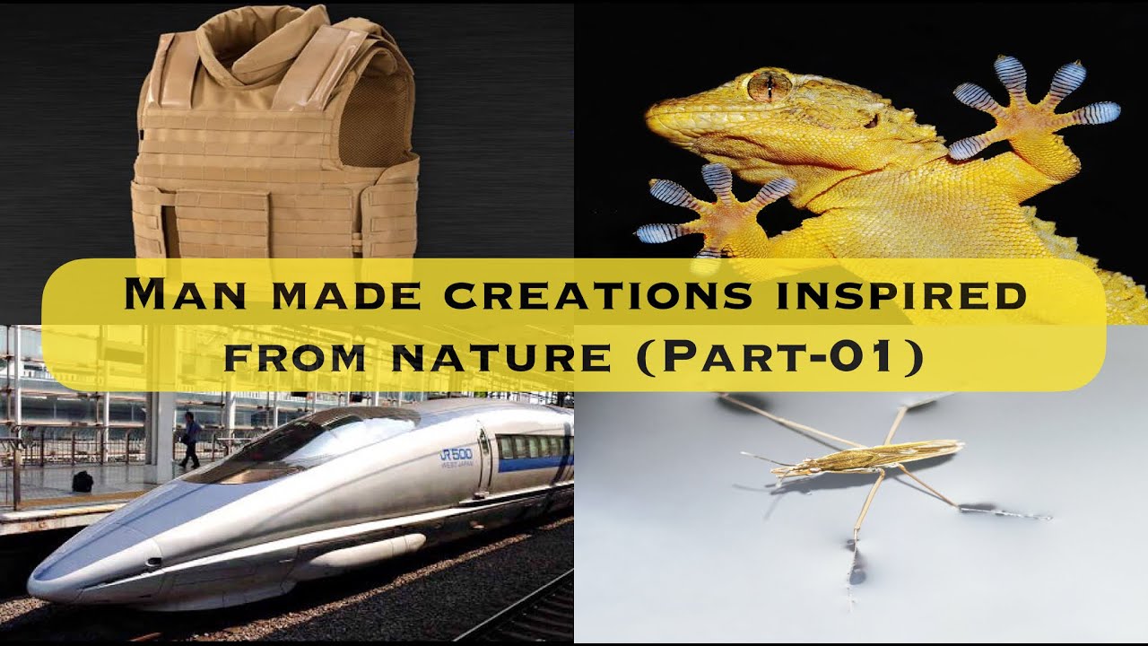 Man made creations that inspired from nature | PART - 01 - YouTube