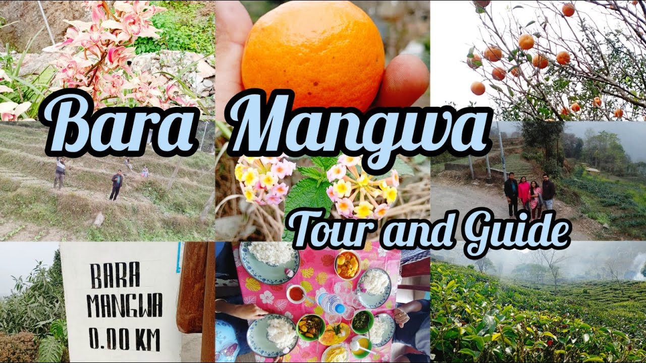 Bara Mangwa detailed Video Guide in West Bengal. Nice place to stay ...