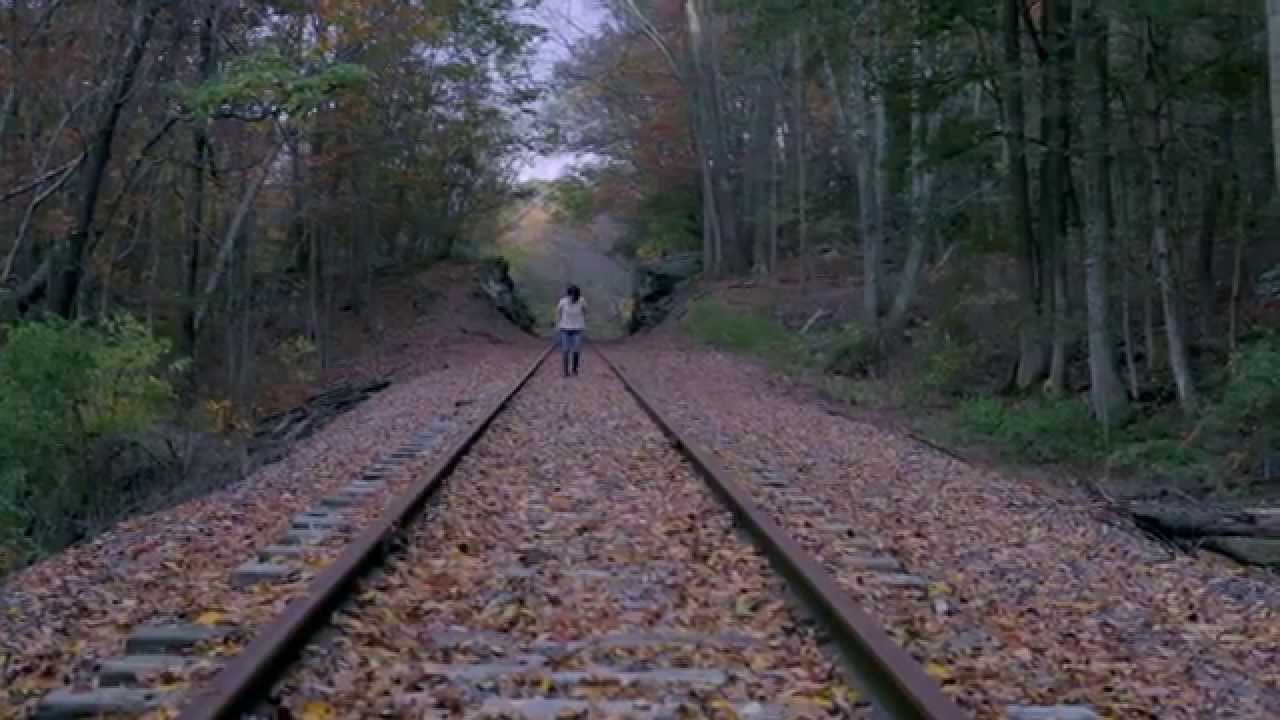 Alien Taxidermist from Outer Space - YouTube