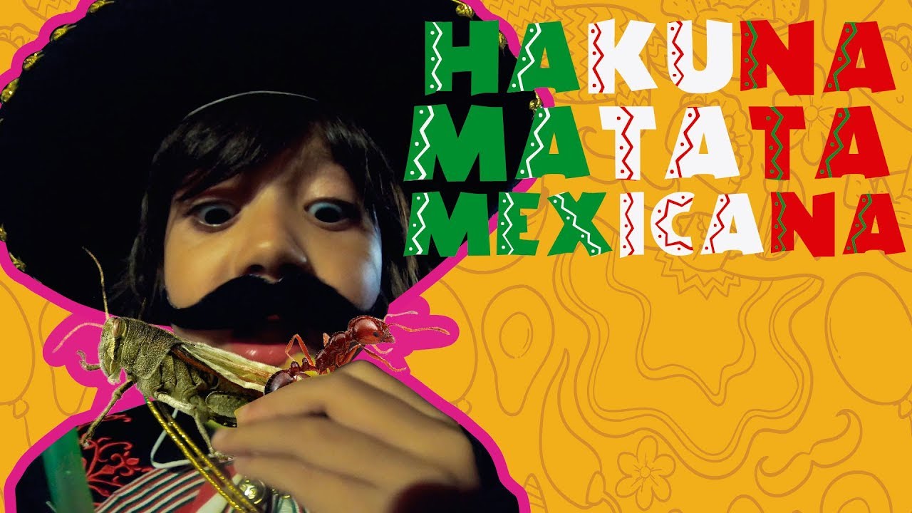 Por mis BIGOTES me como esa SOPA DE INSECTOS - YouTube