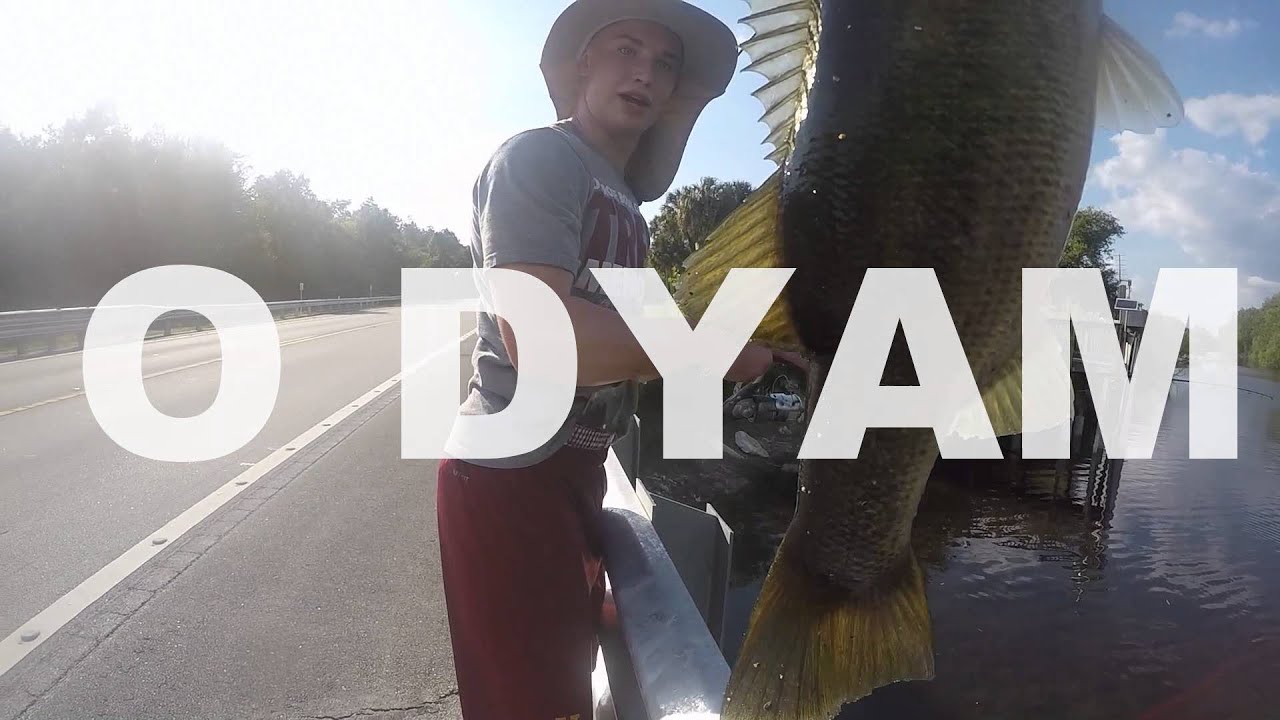 First Florida Largemouth + gators circus! - YouTube