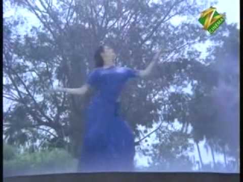 neelam rain song
