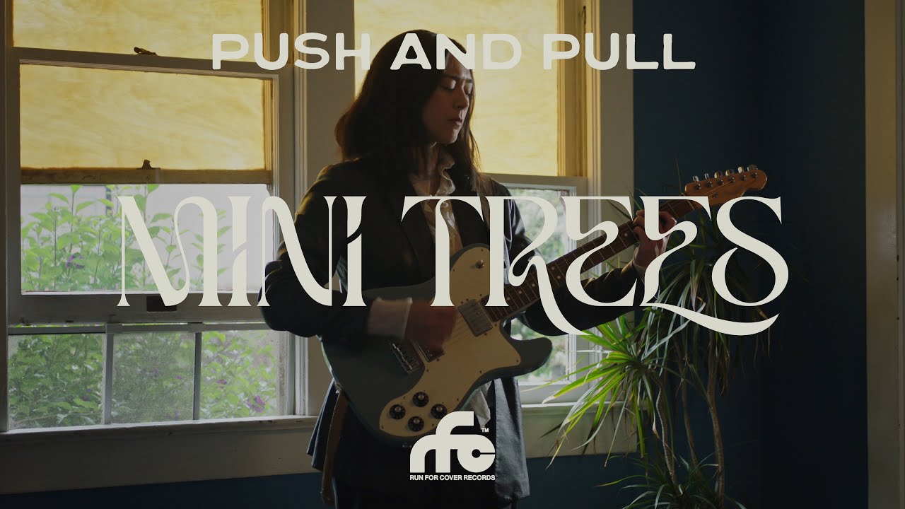 Mini Trees - "Push and Pull" (Official Lyric Visualizer) - YouTube