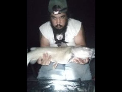 MONSTER CHANNEL CATFISH - YouTube