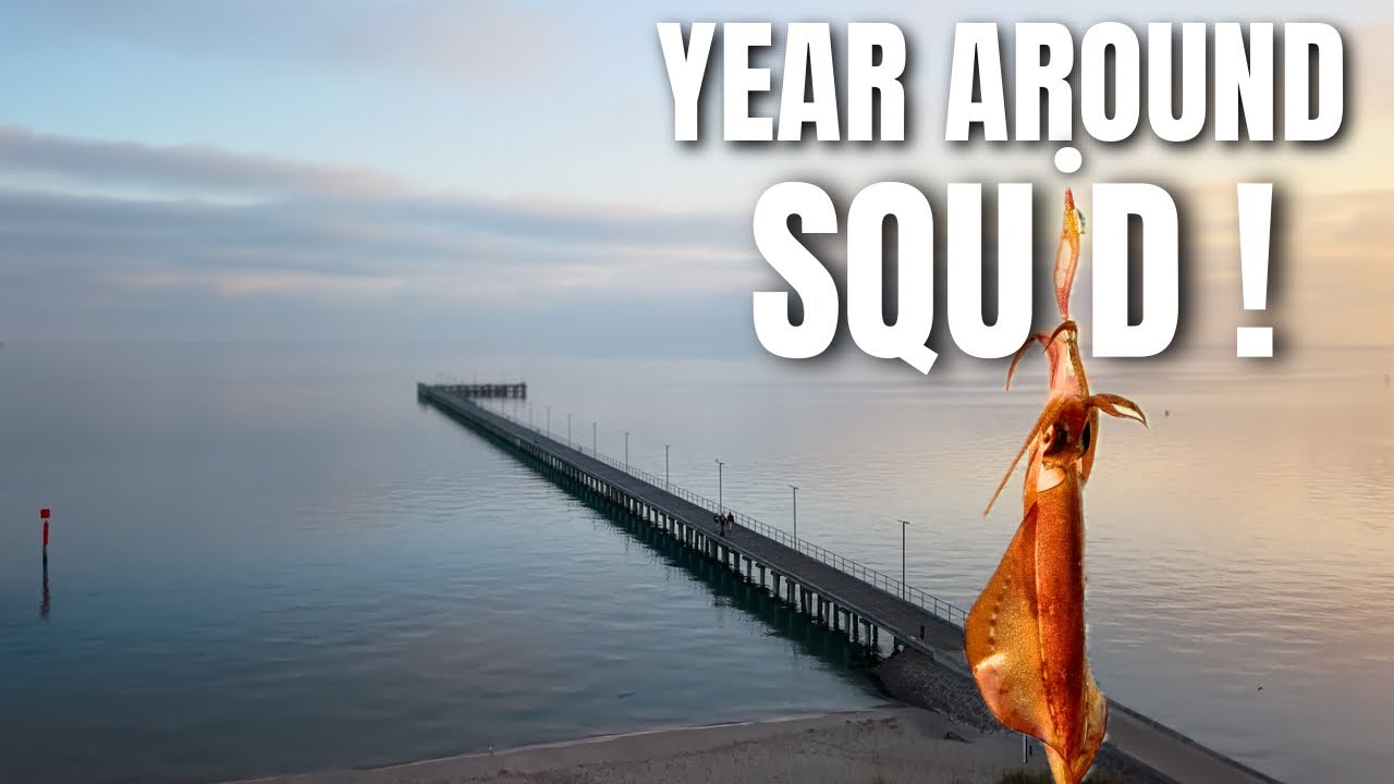 FISHING at Rye Pier – KGW & Squid Biting Hard! | Ep3 Land Based Fishing ...