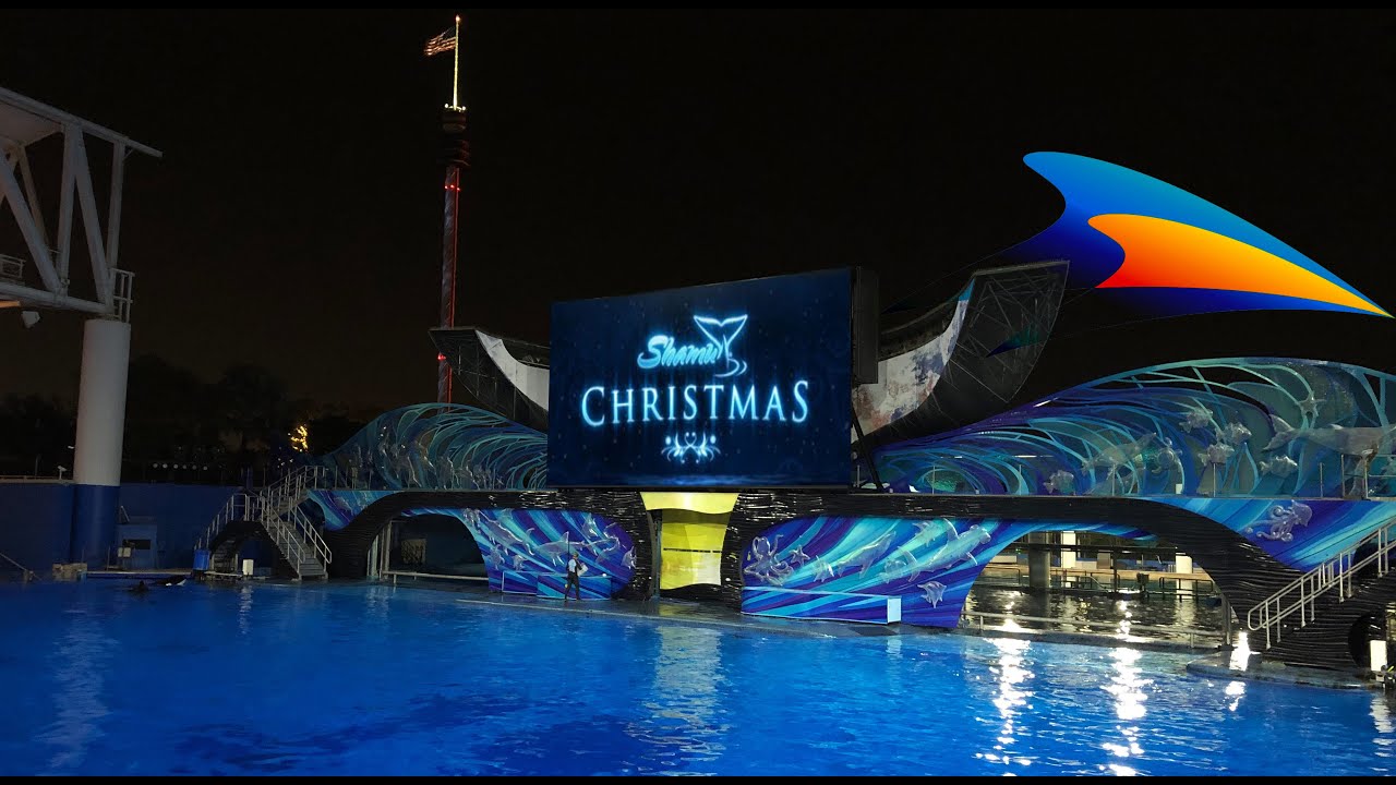 Shamu Christmas Miracles Interrupted: Trua and Makaio Stay In The Show ...