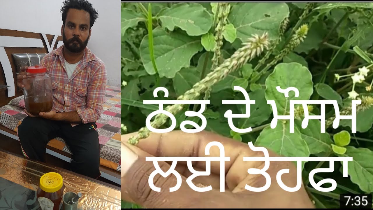 ਖੰਗ, ਜ਼ੁਕਾਮ, ਬੁਖਾਰ, ਦਾ ਘਰੇਲੁ ਇਲਾਜ,! khangh, jukam, bukhar da treatment ...