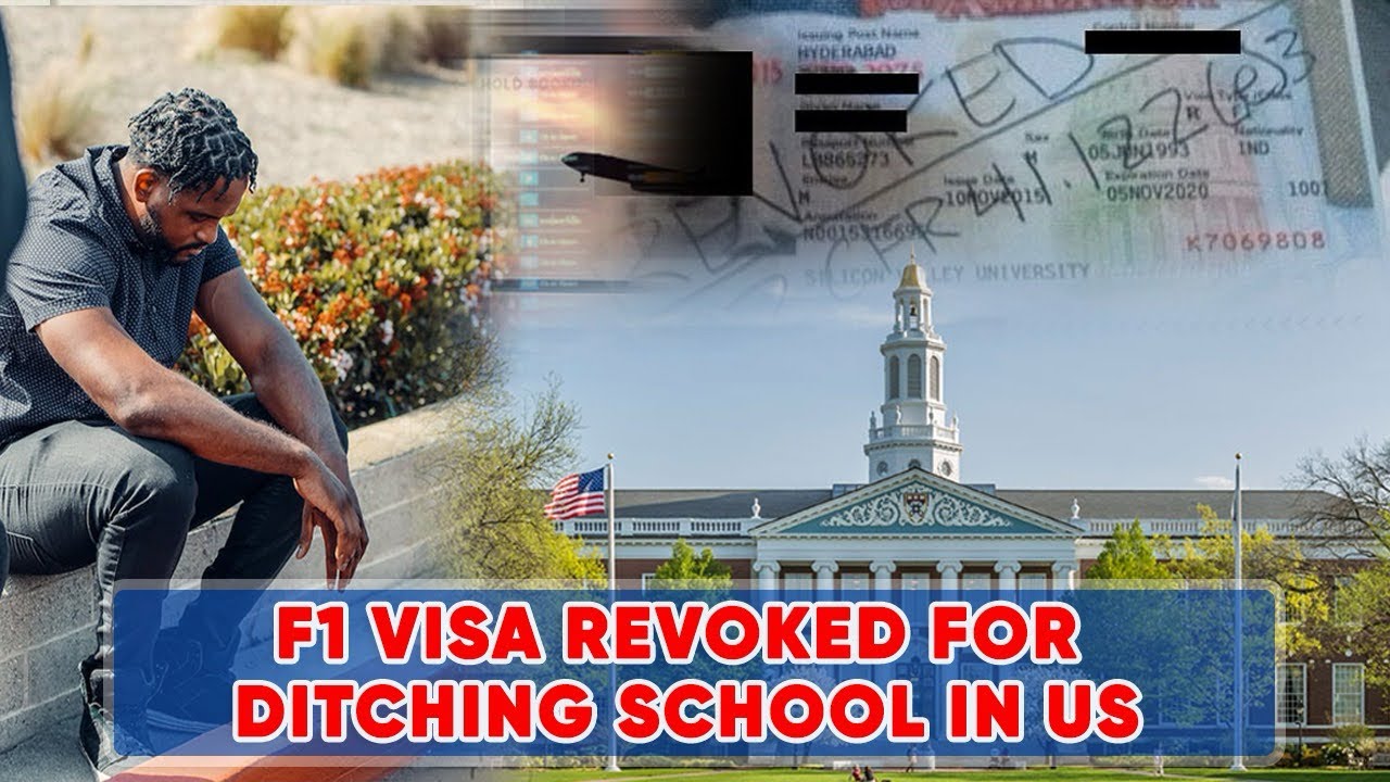 F1 Visa revoked‼️ - YouTube