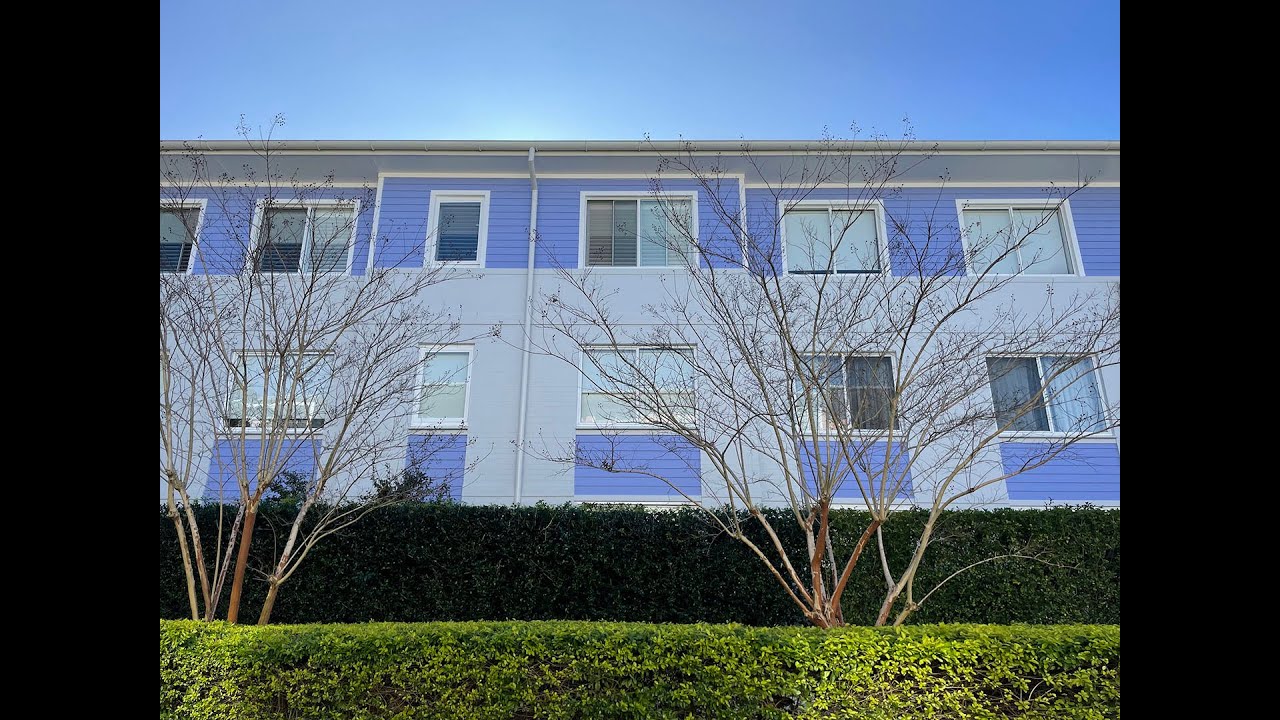 Jacaranda - Breakfast Point Project 2022 - YouTube