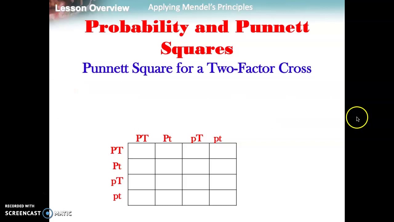 Punnett Squares (Two-Factor Crosses) - Part 1 - YouTube