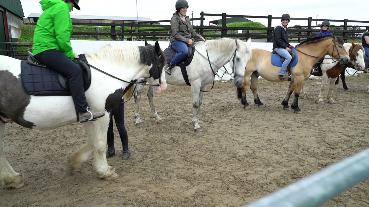 ULTIMATE IRELAND: Horseback riding, peat bogs, Londonderry and tea and ...