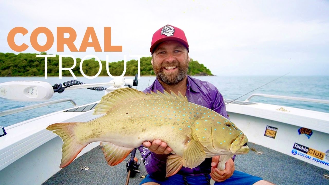 CORAL TROUT in the ISLANDS - YouTube