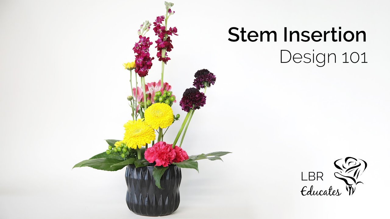 Design 101: Stem Insertion - YouTube