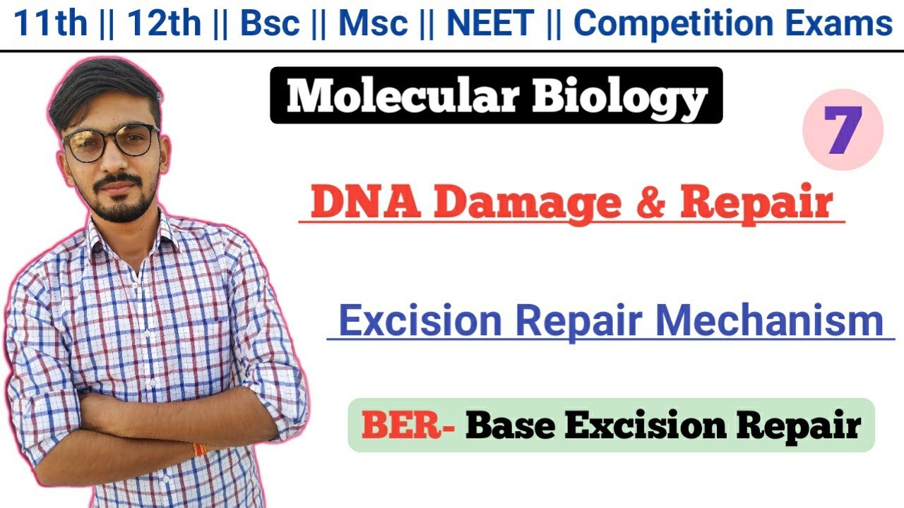 BER- Base Excision Repair Mechanism In Hindi || DNA Damage and Repair ...