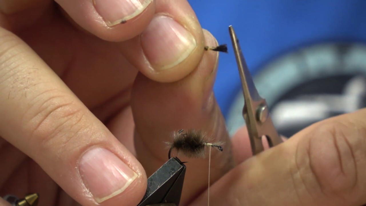 Serata sul gallopardo con Sandro Mandrini pt 2 18 05 2018 - YouTube