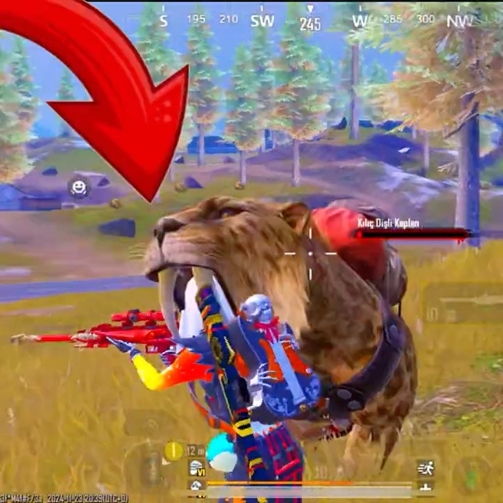 TIGER BITE MY HEAD 😂 - YouTube